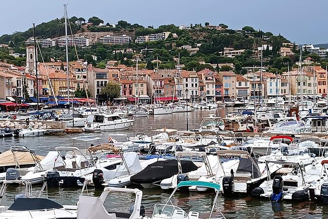 Marseille and Cassis Private Full-Day Tour - Key Points