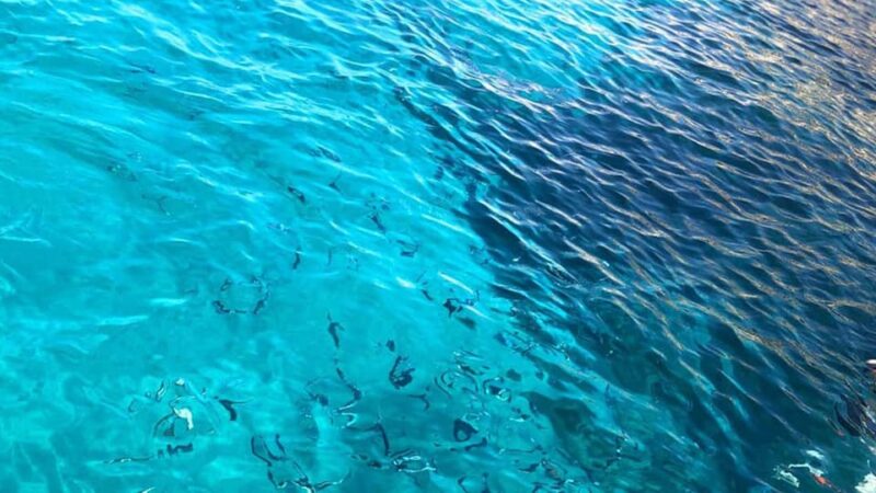 Marseille: Calanques National Park Eco-Friendly Cruise - Why You’ll Love This Tour