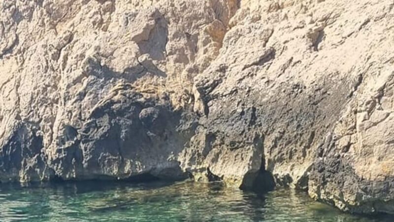 Marseille: Calanques National Park Eco-Friendly Cruise - The Itinerary in Detail