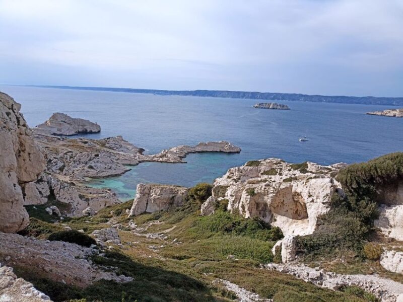 Marseille: Catamaran cruise to discover Frioul Islands - The Value of This Experience