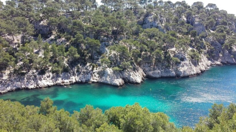 Marseille: Day Boat Ride in the Calanques with Wine Tasting - Practical Details and Value for Money