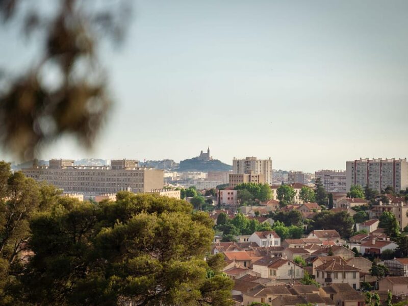 Marseille: Ecopark Adventures Treetop Adventure - Key Points