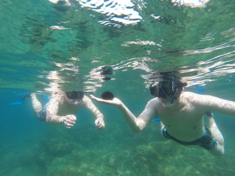 Marseille: Endoume Snorkeling Adventure with Snacks & Drinks - A Full Breakdown of the Itinerary