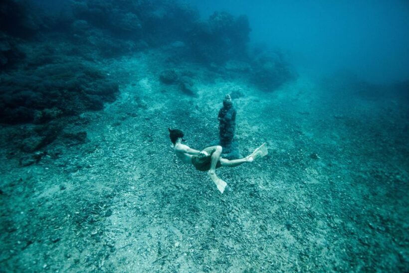 Marseille: Endoume Snorkeling Adventure with Snacks & Drinks - What’s Included and What’s Not