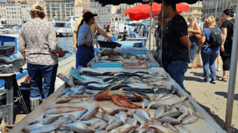 Marseille gourmet food walking tour : Taste maritime culture - Key Points