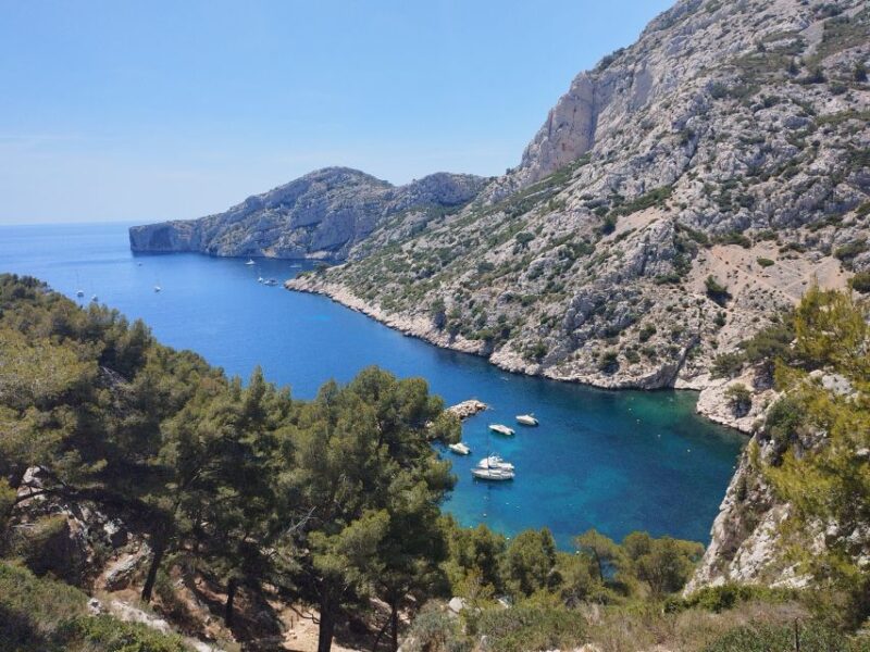 Marseille: Guided Hiking Calanques National Park from Luminy - Discovering the Calanques: A Guided Hiking Tour from Luminy