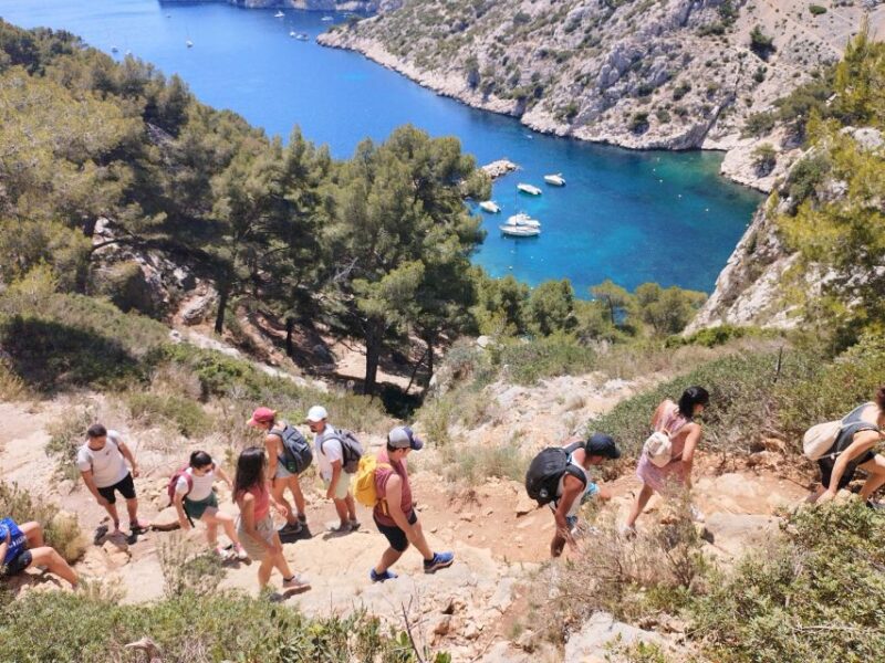 Marseille: Guided Hiking Calanques National Park from Luminy - Who Is This Tour Best For?