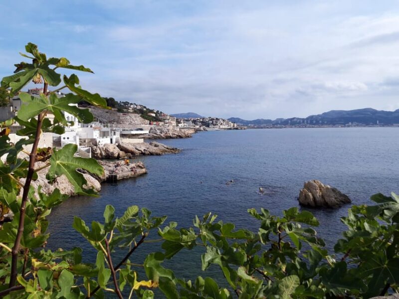 Marseille: Hidden Coves Exploration & Treasure Hunt - Final Thoughts
