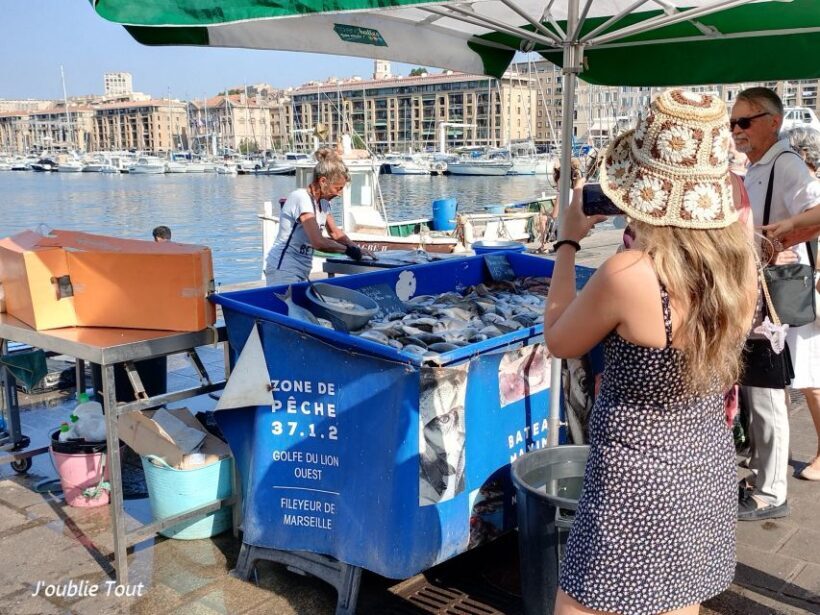 Marseille seen from the inside, Local Experiences - Practicalities: What to Know Before You Go