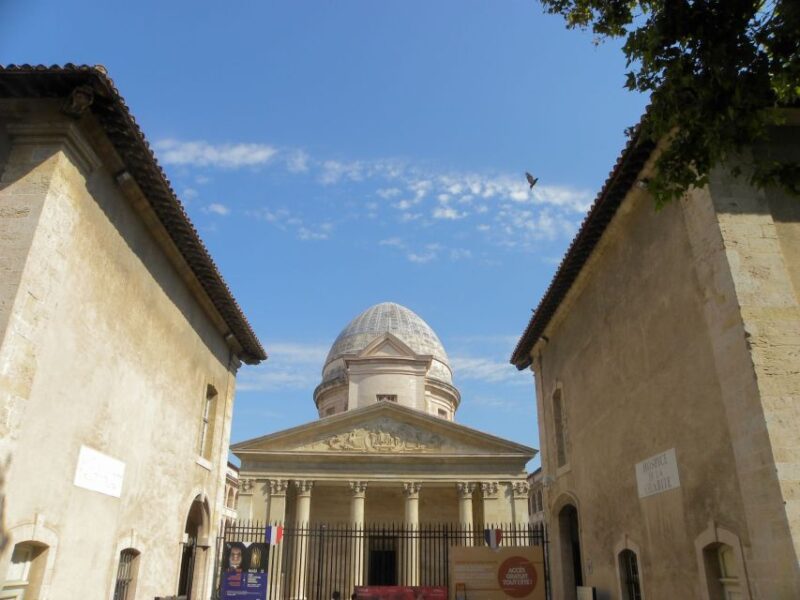 Marseille: Self-guided Like a Local Highlights Day Tour - Customer Feedback and Recommendations