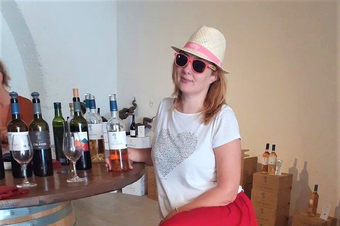 Marseille Shore Excursion - Full Day Wine Tour in Provence - Traveler Experiences and Reviews