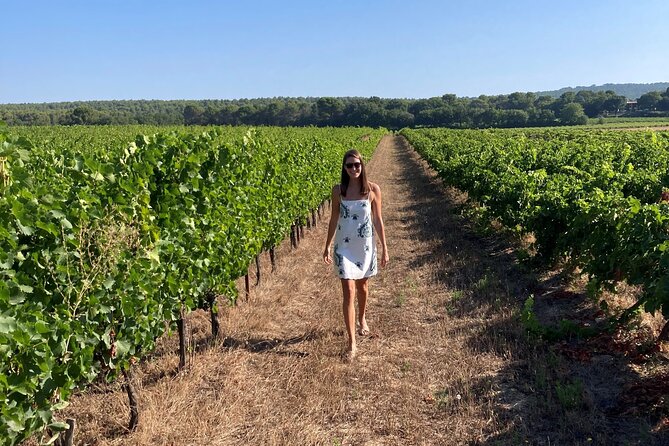 Marseille Shore Excursion - Full Day Wine Tour in Provence - Exploring Provences Charming Towns
