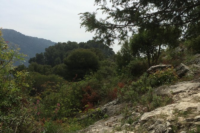 MARSEILLE Shore Excursion : Taste of Provence Aix and Cassis - Price & Value