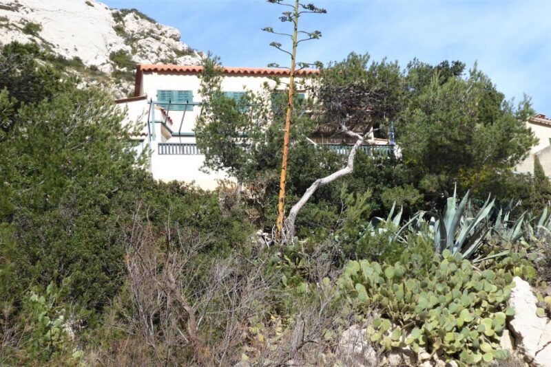 Marseille: Sormiou Calanque Half-Day Hiking Tour w/Swimming - Starting Point and Logistics