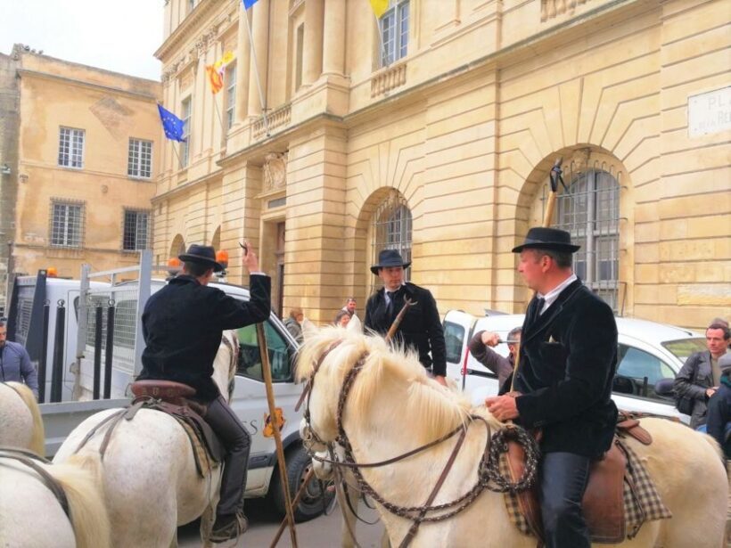 Marseille: The Camargue 8-Hour Guided Outing - What to Expect on Your Camargue Day Tour