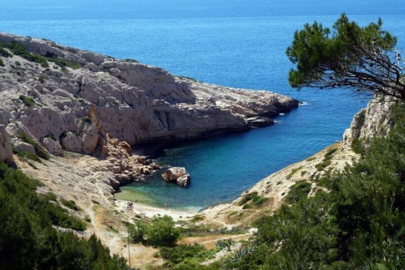 Marseilles: Private Custom Tour with a Local Guide - Who Should Consider Other Options?