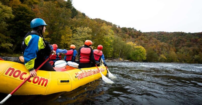 Marshall: French Broad Whitewater River Rafting Experience - Key Points
