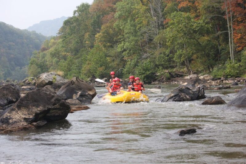 Marshall: French Broad Whitewater River Rafting Experience - Authentic Experiences and Reviews