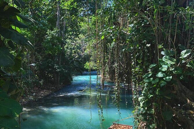 Martha Brae Bamboo Rafting plus Blue Hole and Secrets Fall Private Tour - Key Points