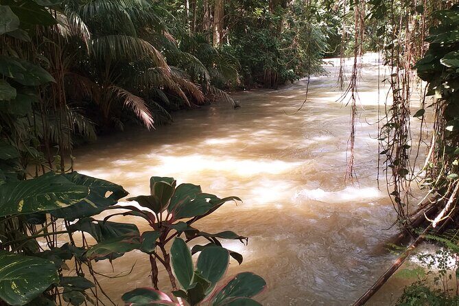 Martha Brae Bamboo Rafting plus Blue Hole and Secrets Fall Private Tour - The Practical Side: Timing, Transportation, and Value