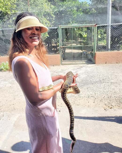 Martha Brae River Bamboo Rafting and Swamp Safari Day Tour - Key Points