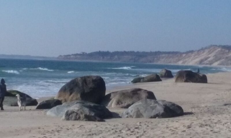 Martha's Vineyard: All Island Tour - Who Should Consider This Tour?