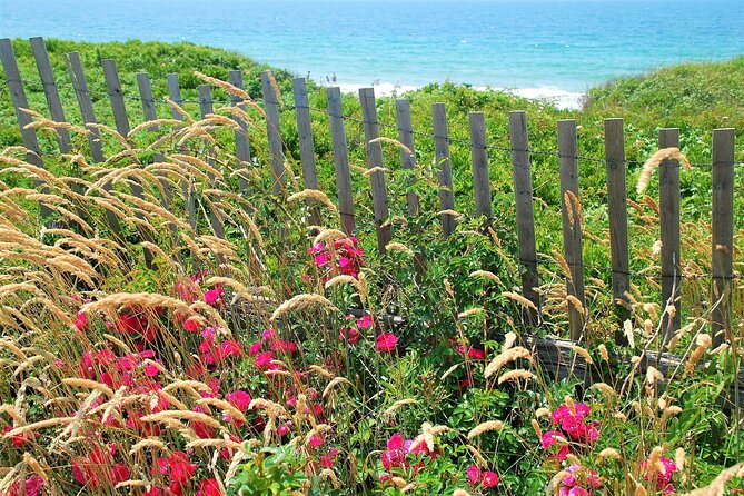 Marthas Vineyard Daytrip From Boston With Round-Trip Ferry & Island Tour Option - Customer Experiences and Feedback