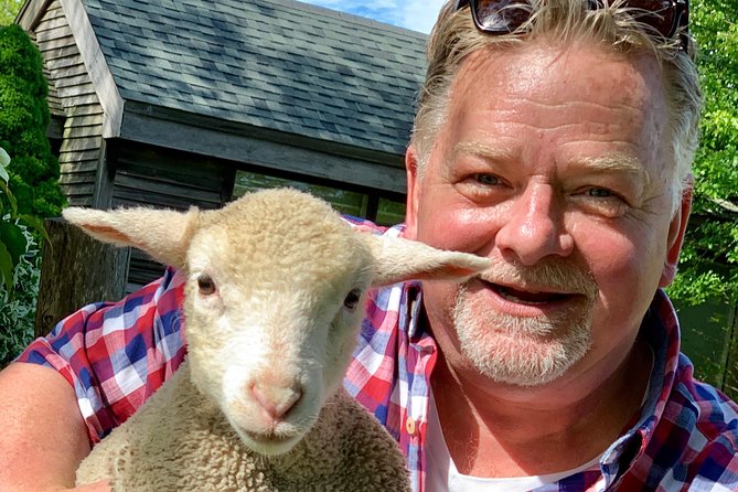 Marthas Vineyard Tours Private and Fun! - Flexibility and Customization for Your Tour