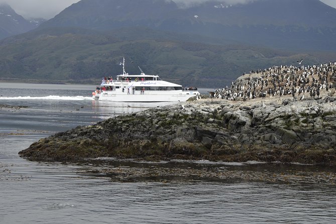 Martillo Island: Boat Trip to the Penguin Colony & Beagle Channel - Accessibility and Capacity