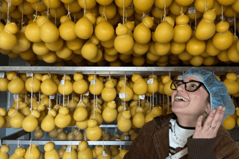 Martina Franca: Mozzarella and Pasta Workshop with Farm Tour - An In-Depth Look at the Experience