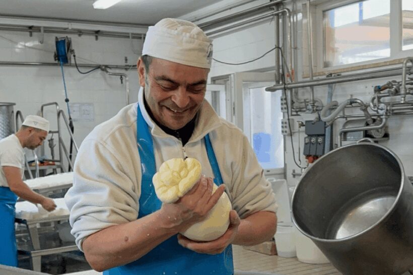 Martina Franca: Mozzarella and Pasta Workshop with Farm Tour - Who Should Consider This Tour?
