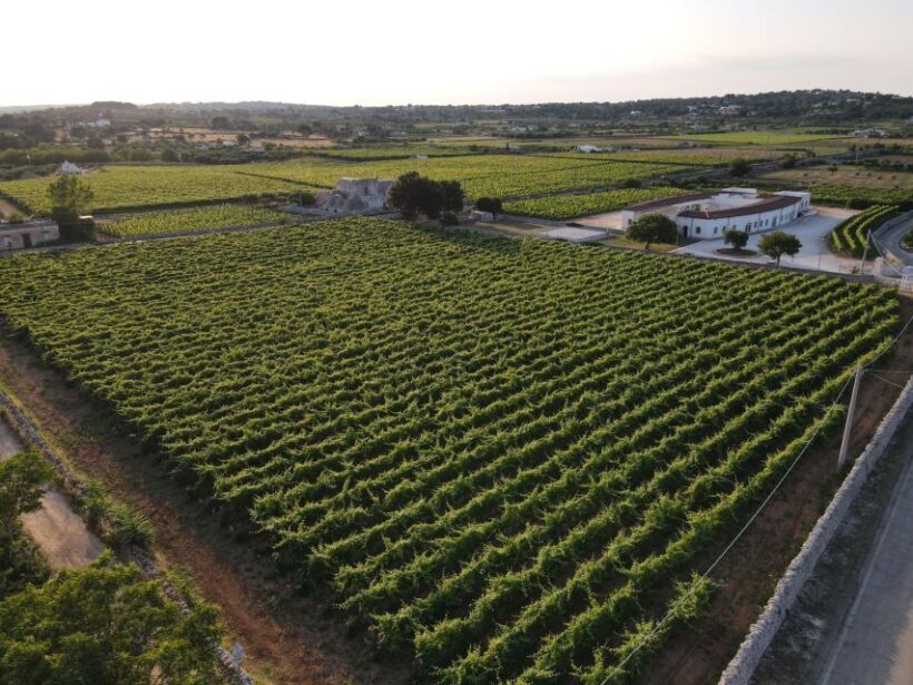 Martina Franca: Wine & Local Products Tasting - A Deep Dive into the Experience