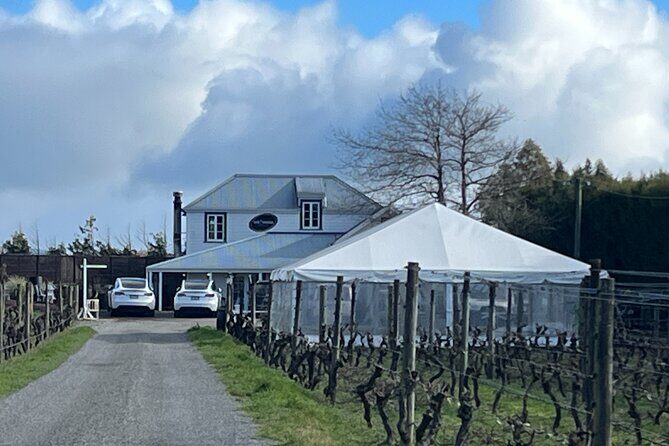 Martinborough Private Food and Wine Tour in Tesla SUV - Introduction