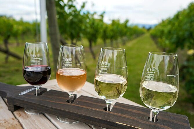 Martinborough Region Day Trip including beverage sampling - The Value of This Experience