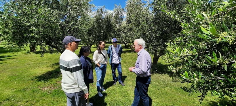 Martinborough Wine and Food Tour with Lunch from Wellington - FAQ