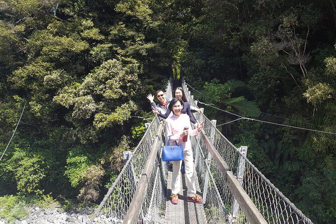 Martinborough Wine and Wild Coast Tour from Wellington - An Overview of the Tour Experience