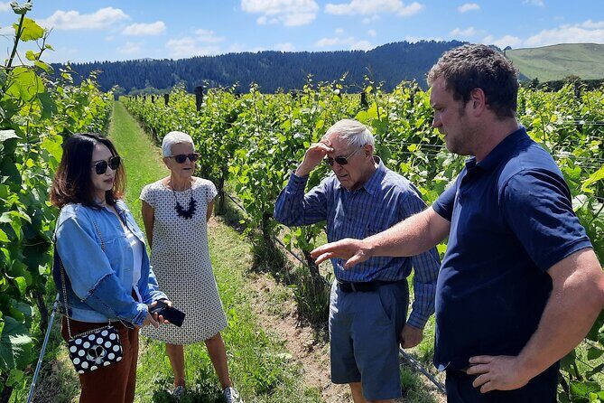 Martinborough Winery and Foodie Day Tour with vineyard lunch - Introduction
