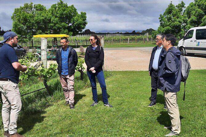 Martinborough Winery and Foodie Day Tour with vineyard lunch - Considerations and Practical Tips