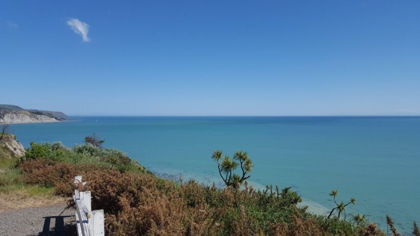 Martinborough Winery and South Wairarapa Wild Coast Tour - Final Thoughts