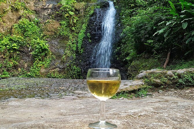Martinique flavors in the rainforest and St Pierre - Pile et Face - A Journey Through Martiniques Natural and Cultural Heritage