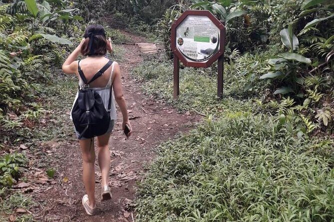 Martinique North Island Private Tour - What the Experience Means for You