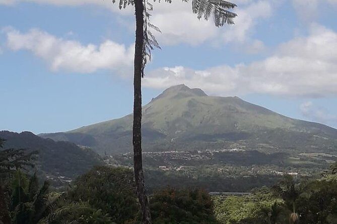 Martinique North Island Private Tour - The Sum Up