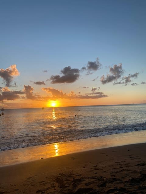 Martinique: Private Tour with Local Guide - Guides and Authenticity