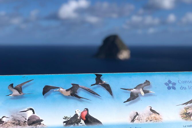 Martinique Shore Excursion - Authentic Tour of Southern Martinique - A Closer Look at the Tour Itinerary