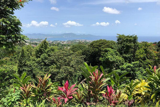 Martinique Shore Excursion - Unmissable Martinique North tour - Value for Money