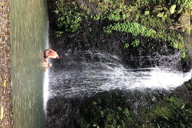 Martinique Shore Excursion - Unmissable Martinique North tour - Practical Tips for Travelers