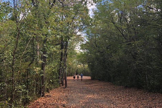 Martinique South Island Private Tour - Who Should Consider This Tour?