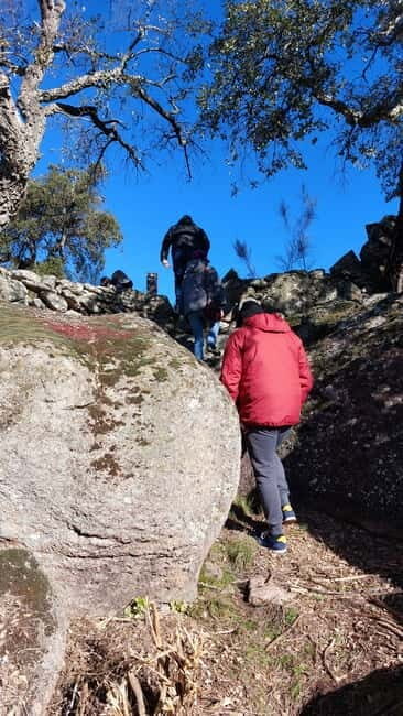 Marvão: Megalithic Monuments Private Tour with Hotel Pickup - Final Thoughts: Who Should Book This Tour?