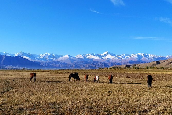 Marvellous 3 days around Issyk-Kul lake - A Practical Guide to the 3-Day Issyk-Kul Tour