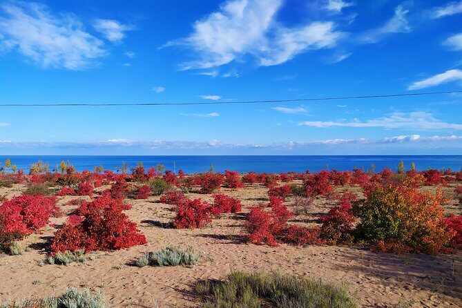 Marvellous 3 days around Issyk-Kul lake - Final Thoughts: The Value Proposition